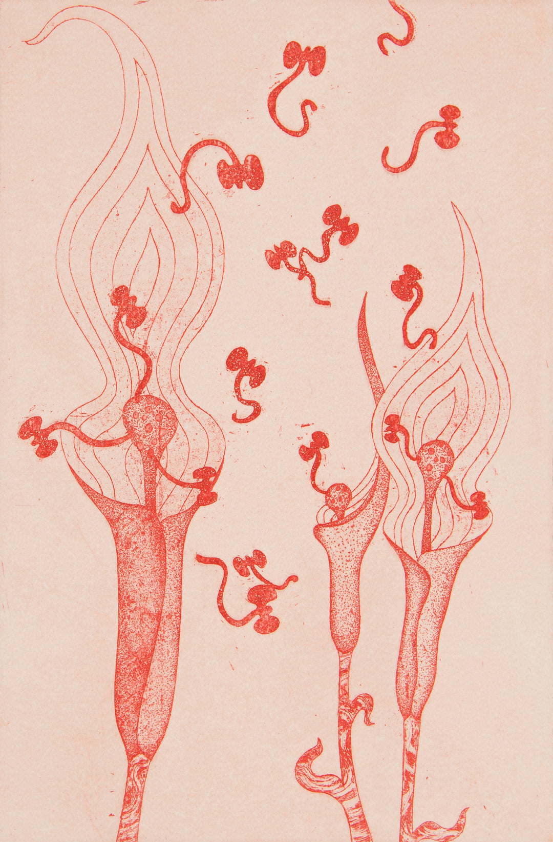 Works – Tagged "Mevlana Lipp"– Later Editions