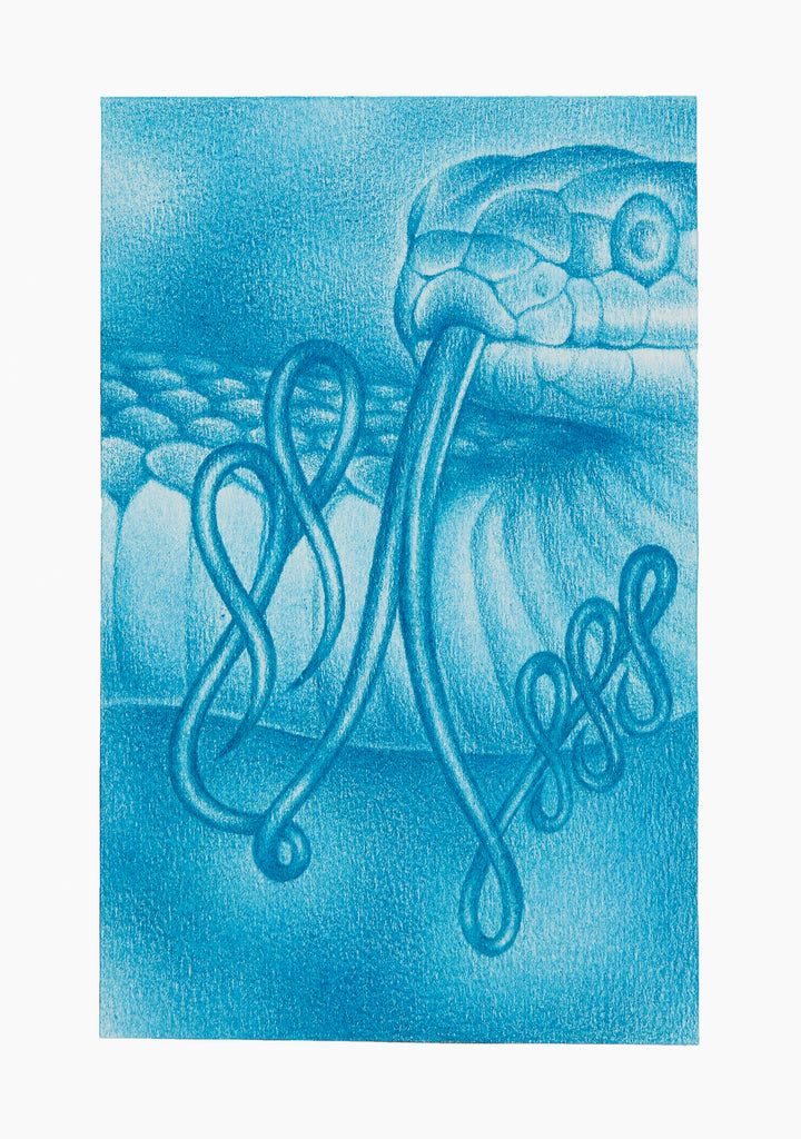 Signe Ralkov – Later Editions